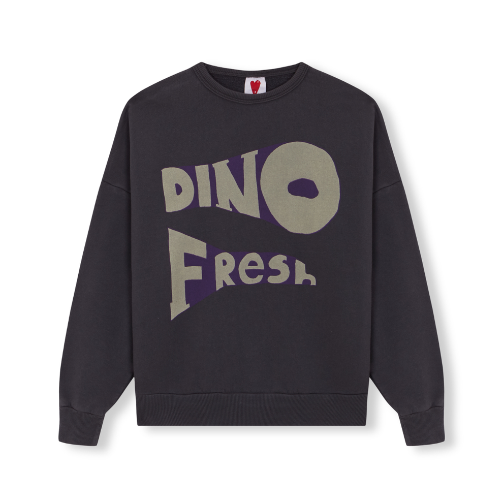 DINO FRESH SWEATSHIRT – tot anira be